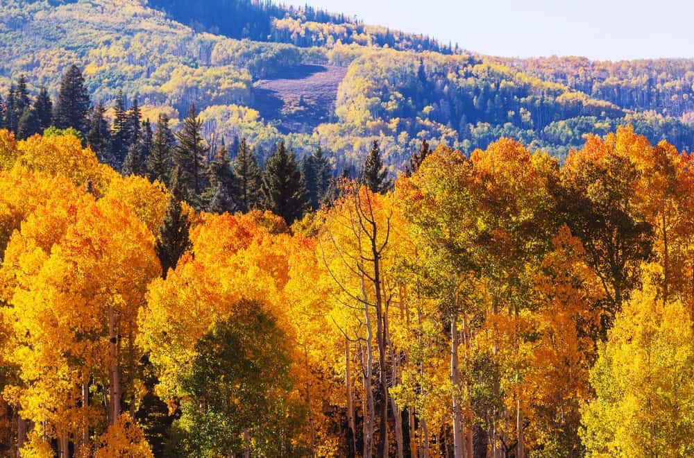 4 Great Colorado Destinations to Visit in Your RV This Fall - Outrig
